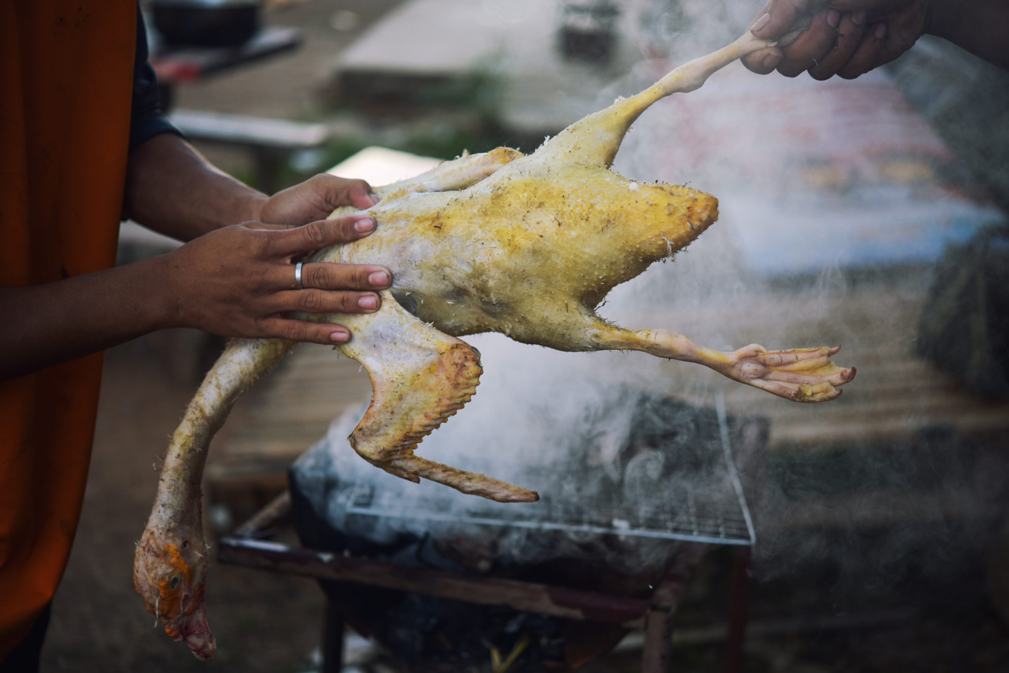 What You Don't Know Hurts Them - Animal Advocates of South Central PA